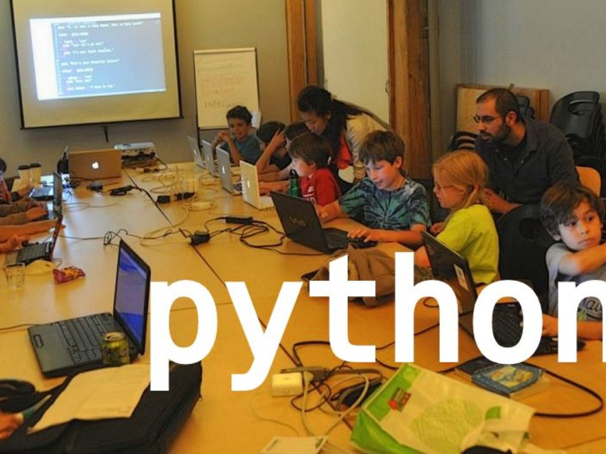 What can you do with Python? - A Software Programmer